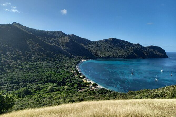 Guided Hiking from Chatham Bay to Mt. Taboi - Authentic Traveler Feedback