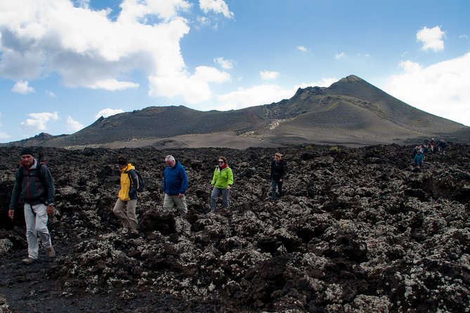 Guided Hiking in the Natural Park of Los Volcanes. - Whats Included