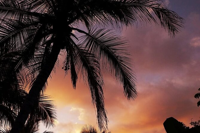 Guided Hiking Through Tayrona National Park and Cabo San Juan - Traveler Reviews and Feedback