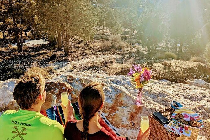 Guided Hiking Tour in Big Bear with Sunset Champagne toast on Private Dock - Final Thoughts