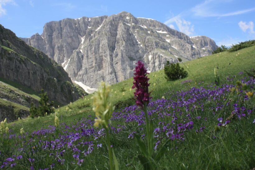 Guided hiking tour to the dragon lake of Mountain Tymfi - The Sum Up: Is This Tour for You?