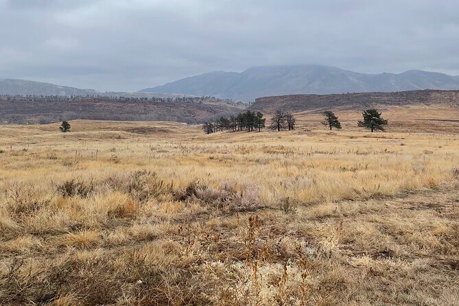 Guided Hiking Tours near Fort Collins - Exploring Horsetooth Open Space: A Natural Wonderland