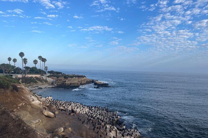 Guided Historic La Jolla Village Walking Tour - FAQs