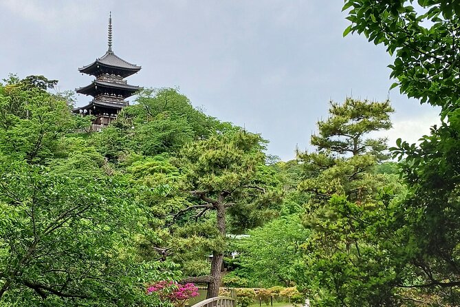 Guided History & Nature Exploration in the Yokohama Hill Area - Inclusions and Accessibility