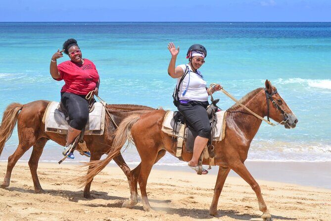Guided Horseback Ride On The Beach With Pickup From Punta Cana - The Bottom Line