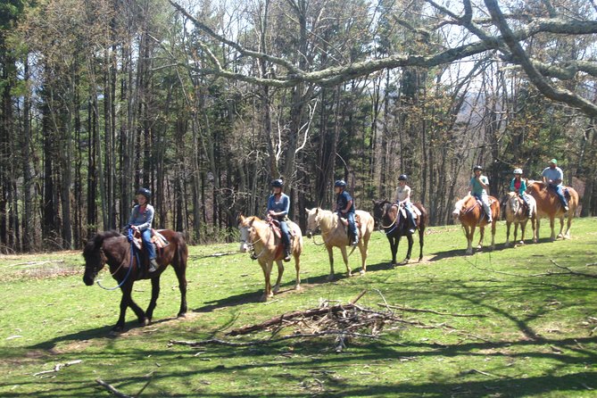 Guided Horseback Ride Through Flame Azalea and Fern Forest - Experience the Beauty of Blue Ridge Mountains