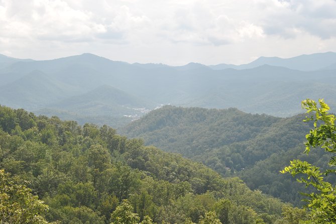 Guided Horseback Ride Through Flame Azalea and Fern Forest - Meeting Point and Getting There