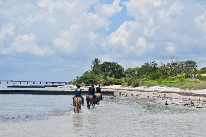 Guided Horseback Riding on The Pristine Waters of Miami Florida - What to Expect from Your Horseback Ride