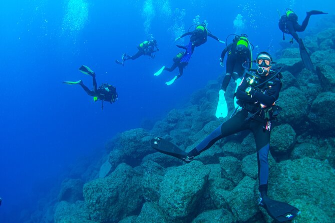 Guided Immersion from Santa Cruz de Tenerife - Final Thoughts