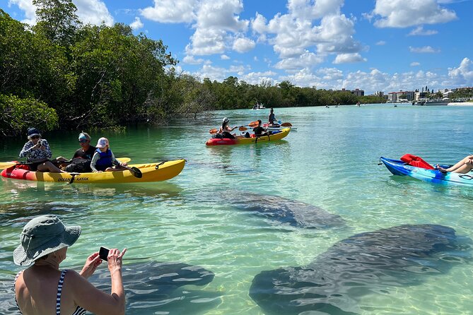 Guided Island EcoTour: CLEAR/Standard Kayak, SUP - Bonita Springs - What to Expect from the Guided Island EcoTour in Bonita Springs