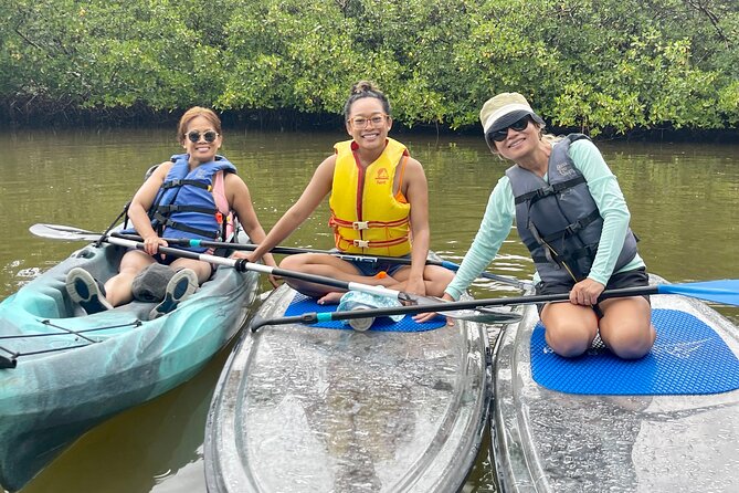 Guided Island EcoTour: CLEAR/Standard Kayak, SUP - Bonita Springs - The Sum Up