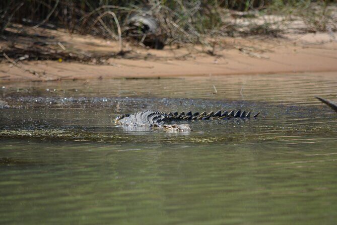 Guided Kakadu Day Tour - FAQ: Your Questions Answered