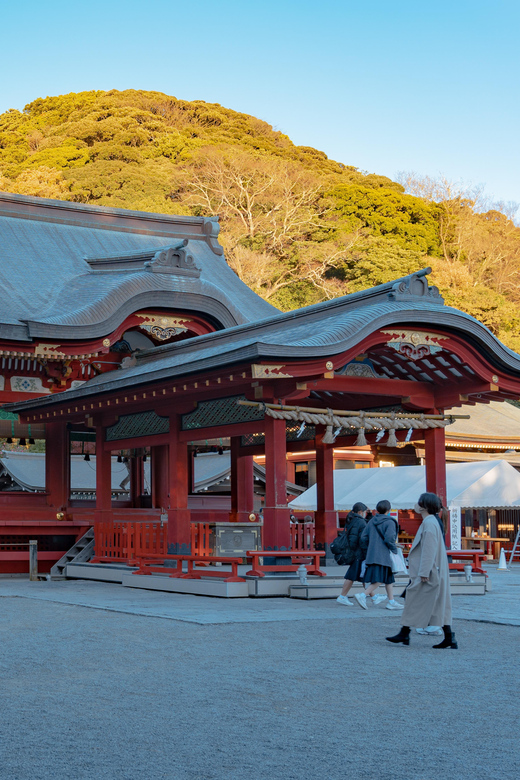 Guided Kamakura Private Tour GREEN NUMBER PLATES - Exploring Kotoku-in (Great Buddha)