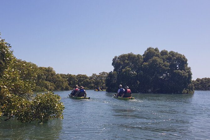 Guided Kayak Adventure Tour - Key Points