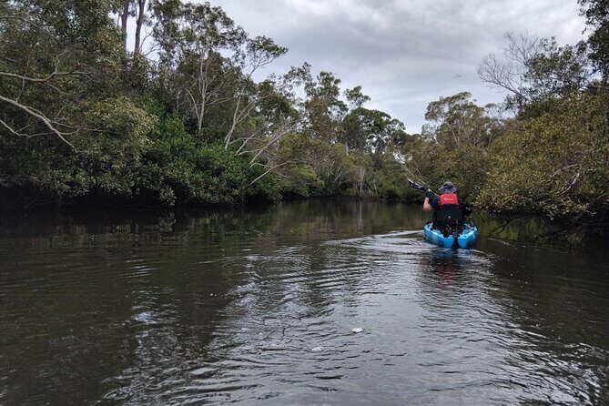 Guided Kayak Adventure Tour - An In-Depth Look at the Guided Kayak Adventure