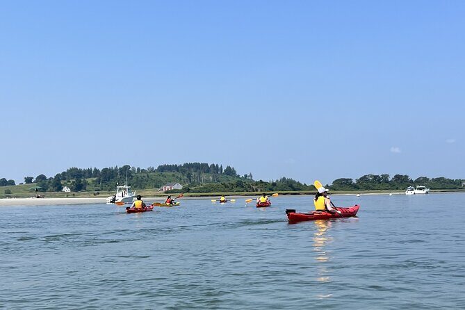 Guided Kayak at the Crane Estate - Exploring the Experience in Detail