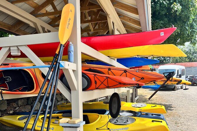 Guided Kayak at the Crane Estate - Summary: Who Will Love This Tour?