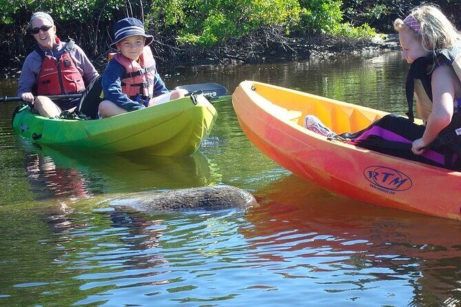 Guided Kayak Dolphin Eco Tour in Pelican Bay - FAQ