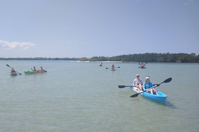 Guided Kayak EcoTour of Beautiful Shell Key Preserve - Wildlife Encounters