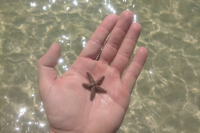 Guided Kayak EcoTour of Beautiful Shell Key Preserve - Guest Feedback and Recommendations