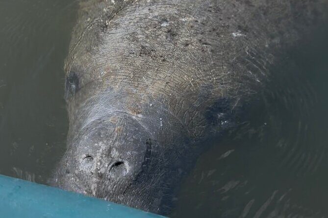 Guided Kayak Experience at EG Simmons Park - Who Will Love This Tour?