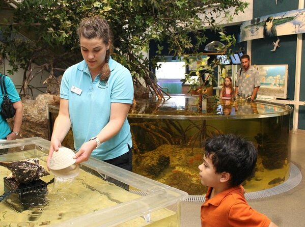 Guided Kayak Mangrove Ecotour in Rookery Bay Reserve, Naples - Introduction