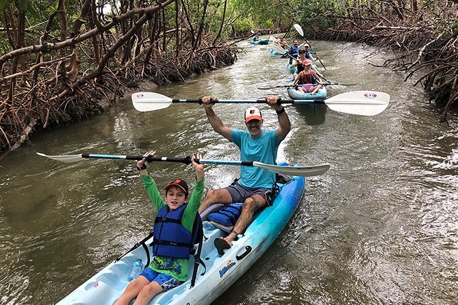 Guided Kayak Mangrove Ecotour in Rookery Bay Reserve, Naples - Tour Itinerary: What to Expect