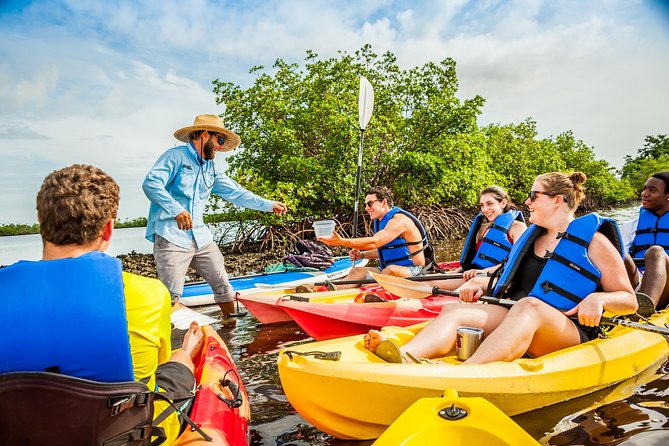 Guided Kayak Mangrove Ecotour in Rookery Bay Reserve, Naples - The Value of This Experience