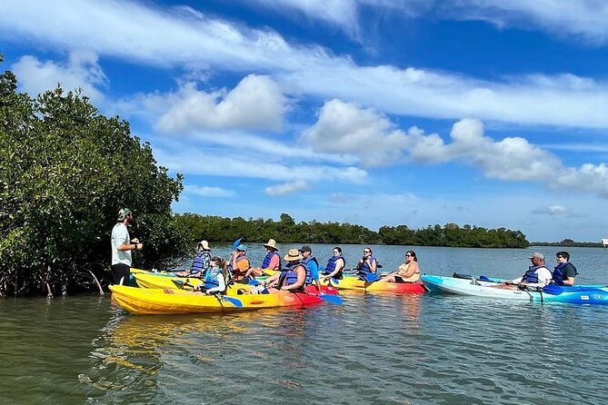 Guided Kayak Mangrove Ecotour in Rookery Bay Reserve, Naples - Authentic Experiences from Travelers