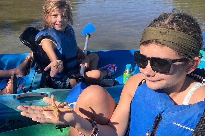 Guided Kayak Mangrove Ecotour in Rookery Bay Reserve, Naples - The Sum Up