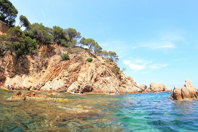 Guided Kayak & Snorkel tour to Costa Brava: Small Group and Lunch - The Value of This Tour