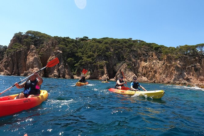 Guided Kayak & Snorkel tour to Costa Brava: Small Group and Lunch - Detailed Breakdown of the Itinerary