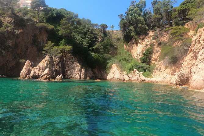 Guided Kayak & Snorkel tour to Costa Brava: Small Group and Lunch - Authentic Experiences Highlighted by Participants