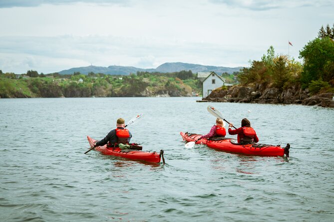Guided Kayak Tour Bergen - Why This Tour Offers Great Value