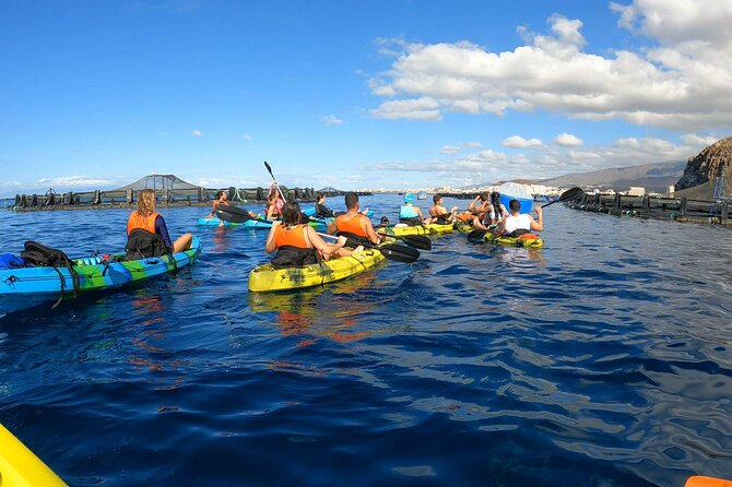 Guided Kayak Tour From Los Cristianos Beach Tenerife - Introduction