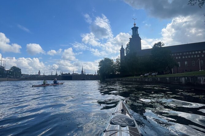 Guided Kayak Tour in Central Stockholm - Customer Reviews and Feedback