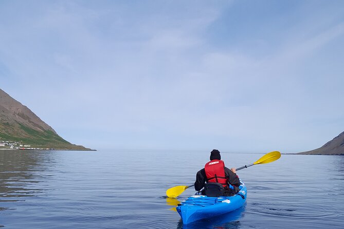 Guided Kayak Tour in Siglufjörður / Siglufjordur. - Safety Measures and Tour Guide Expertise