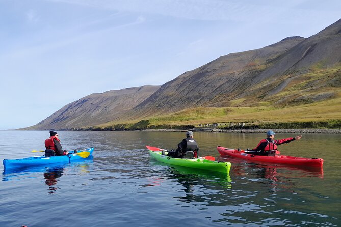 Guided Kayak Tour in Siglufjörður / Siglufjordur. - Pricing and Booking Information