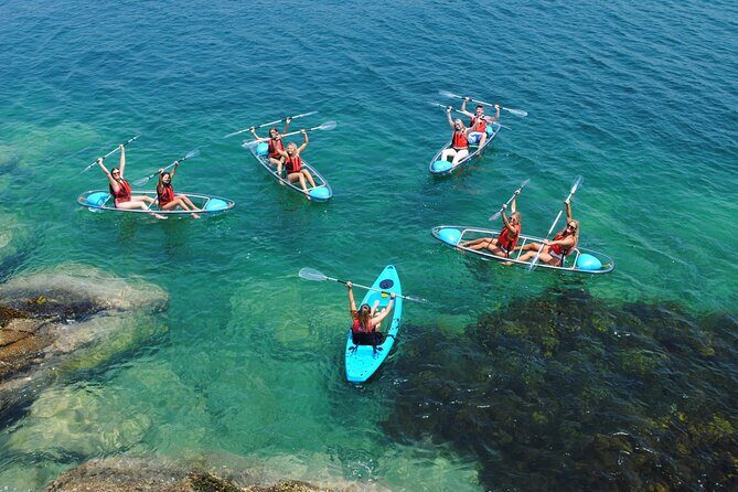 Guided Kayak Tour of Manly Cove Beaches - An In-Depth Look at the Manly Cove Beaches Kayak Experience