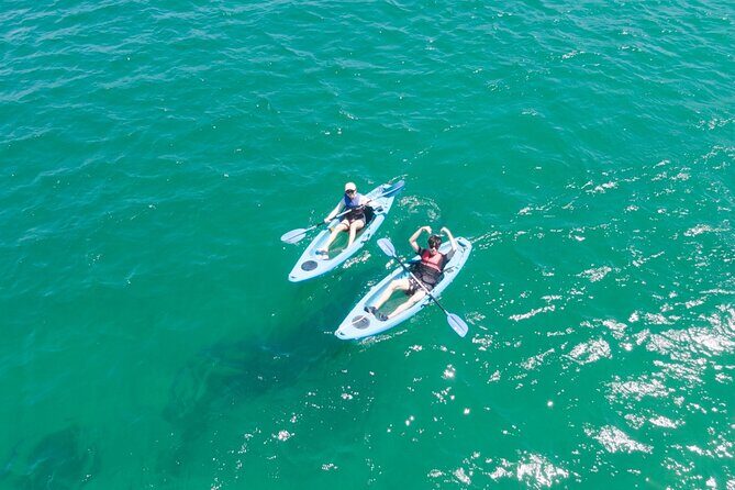 Guided Kayak Tour of Manly Cove Beaches - Frequently Asked Questions