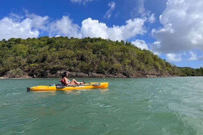 Guided Kayak Tour of Salt River Bay Ecology and History - Detailed Dive into the Salt River Bay Guided Kayak Tour