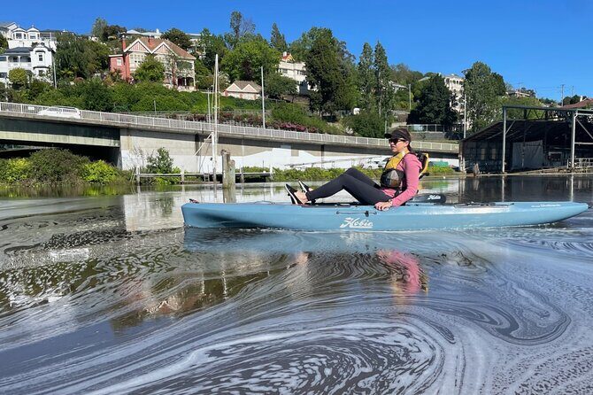 Guided Kayak Tour on Launceston's scenic waterfront on foot powered Hobie kayaks - Who Will Love This Tour?