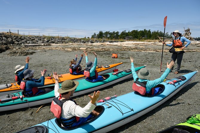 Guided Kayak Tour on San Juan Island - Key Points