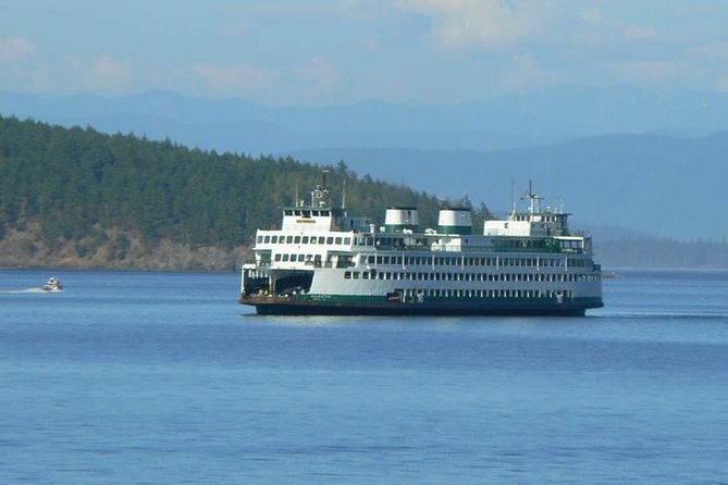 Guided Kayak Tour on San Juan Island - Final Thoughts