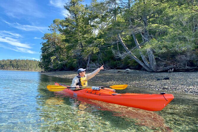 Guided Kayak Tour To Hope Island State Park - What to Expect from the Tour