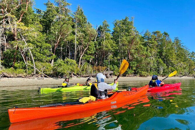 Guided Kayak Tour To Hope Island State Park - What Reviewers Love Most