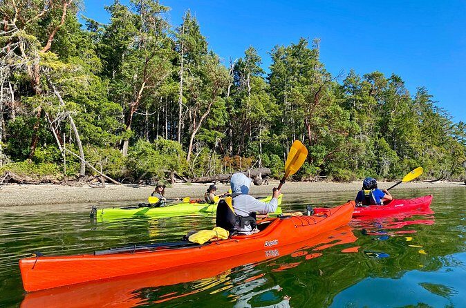 Guided Kayak Tour To Hope Island State Park - Who Should Consider This Tour