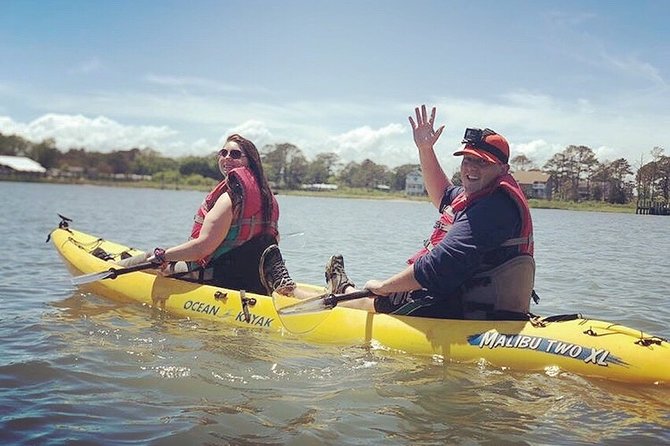Guided Kayak Tour to See Ponies, Birds, Dolphins and More - Health and Safety Guidelines