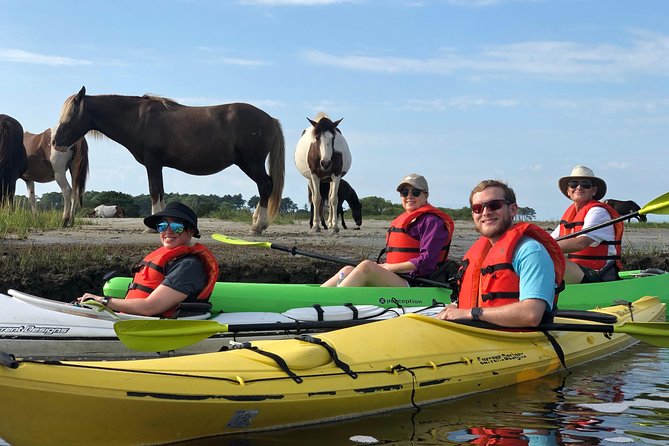 Guided Kayak Tour to See Ponies, Birds, Dolphins and More - Customer Reviews and Feedback