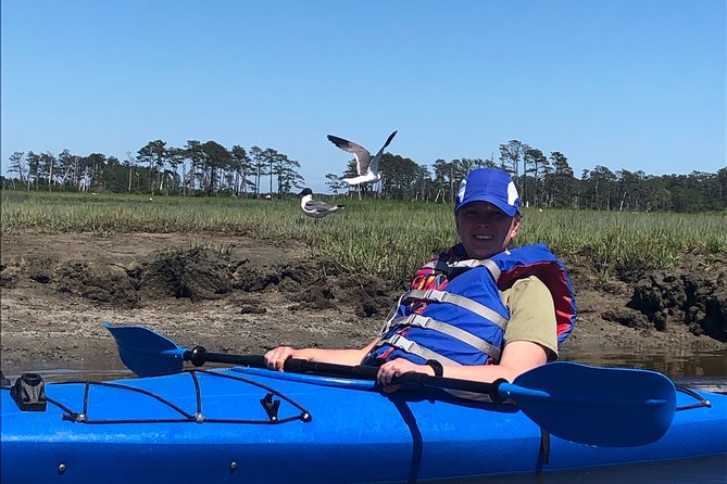 Guided Kayak Tour to See Ponies, Birds, Dolphins and More - Frequently Asked Questions